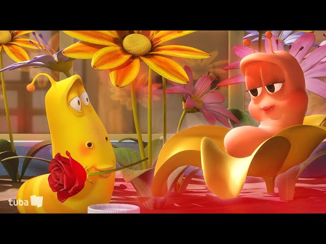 рџњёbloomingрџњё Or рџ Bloomingрџ Animation Compilation Larva Tuba