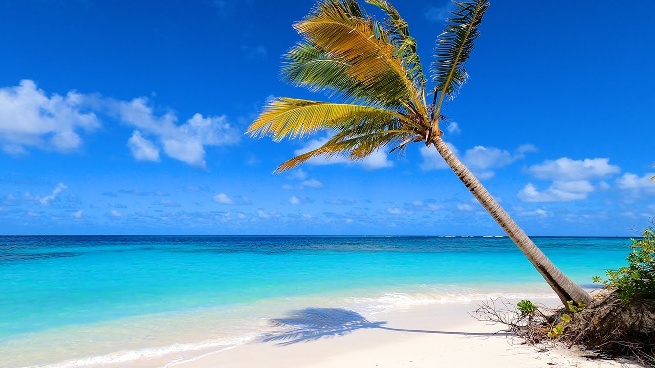 Sea Breeze 3 Hours Of Beach Ambience From The Caribbean Youtube