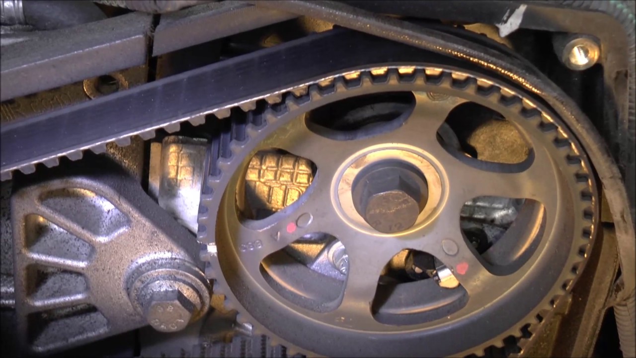 Serpentine Belt Noise Fix At Kurt Riddle Blog