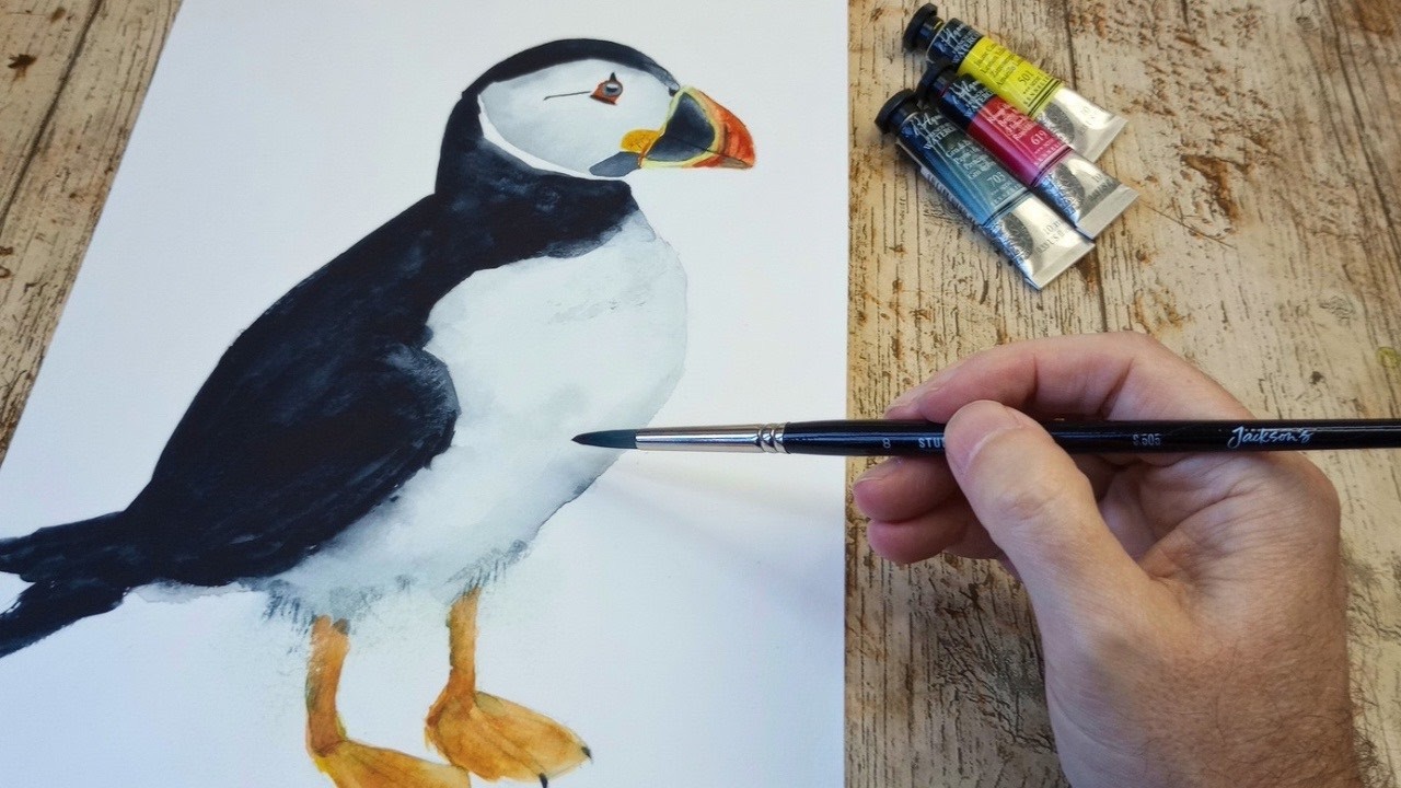 Watercolour Puffin Tutorial For Beginners Step By Step Painting Guide