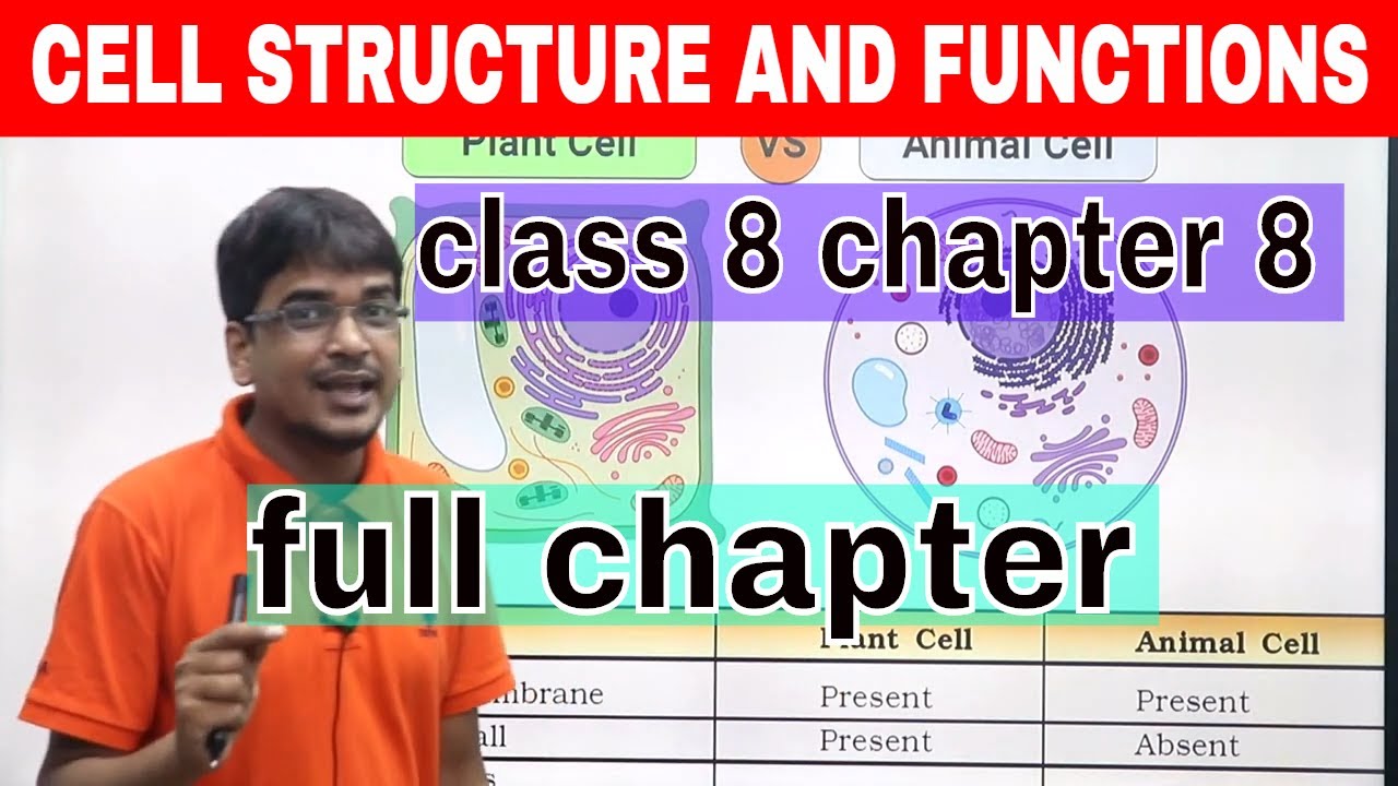 Class 8 Ch 8 Cell Structure And Functions Full Chapter Youtube