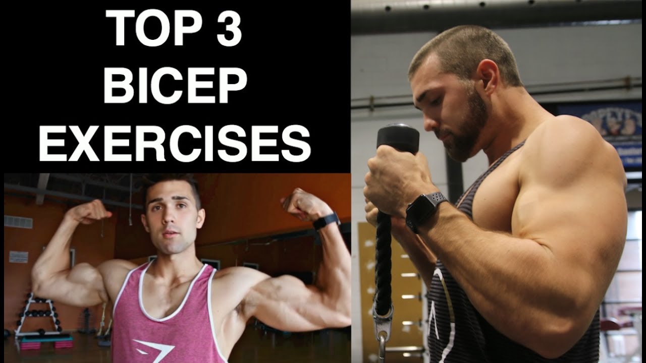 Top 3 Exercises For Huge Biceps Grow Your Biceps Now Youtube