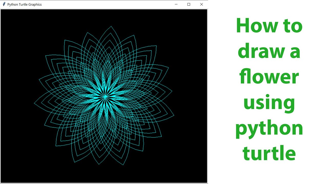 How To Draw A Flower In Python Turtle