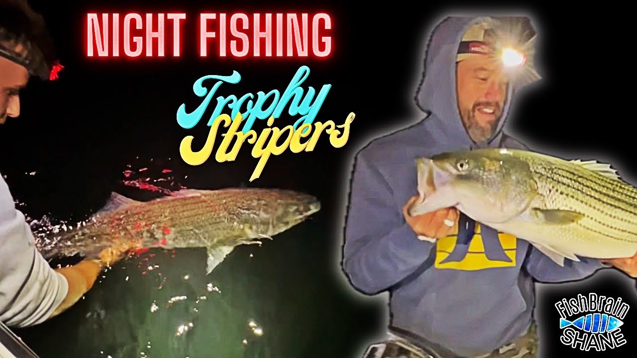 Secrets For Huge Stripers At Nightвђјпёџ Catching Giants With Daddyfuntv