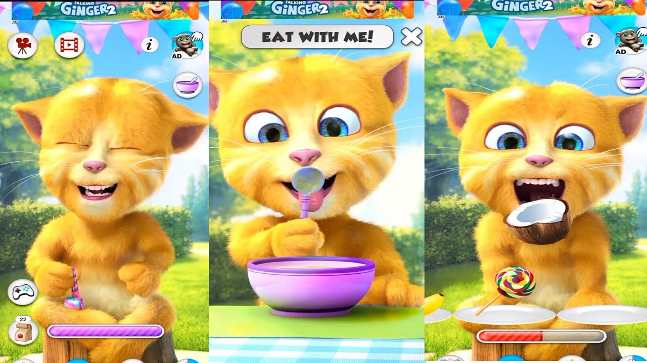 Ginger 2 Funny Video Ginger 2 Eating Video Talking Game Ginger 2