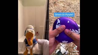 Loadstring Game Httpget Https Pastebin Com Raw 01vk8ym8 True My Lord