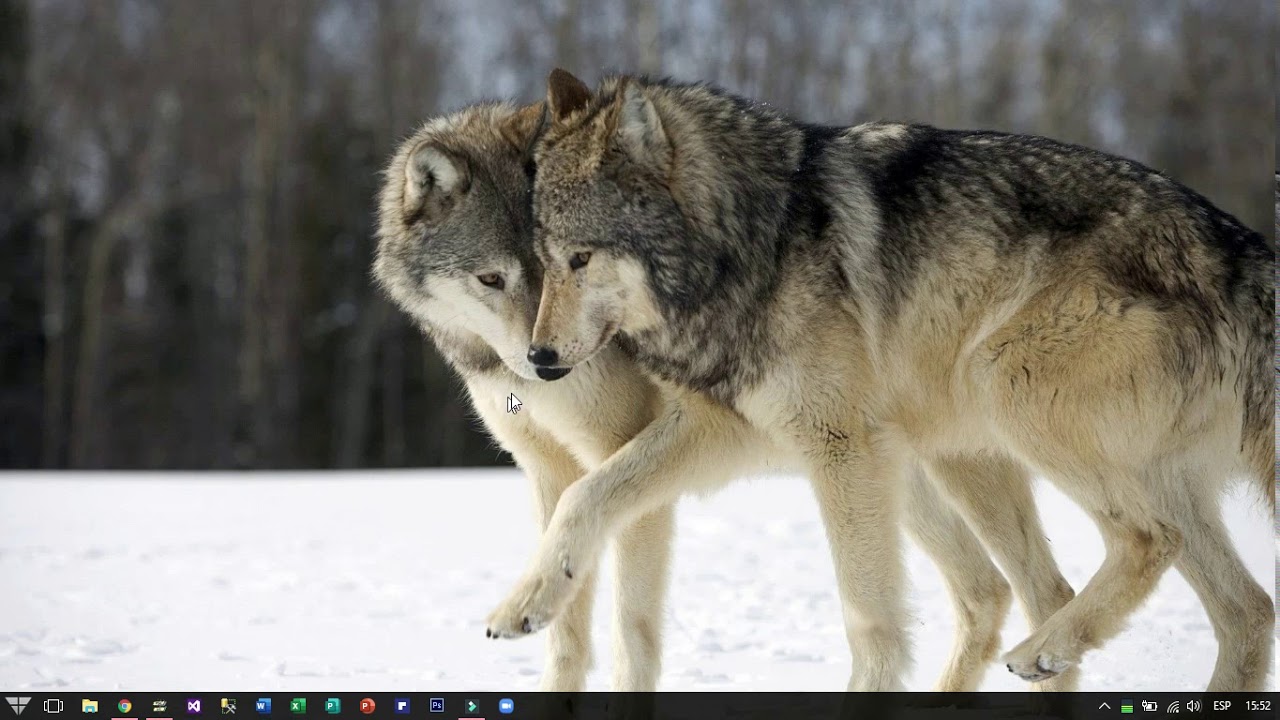 Tutorial Instalación Basic256 Youtube
