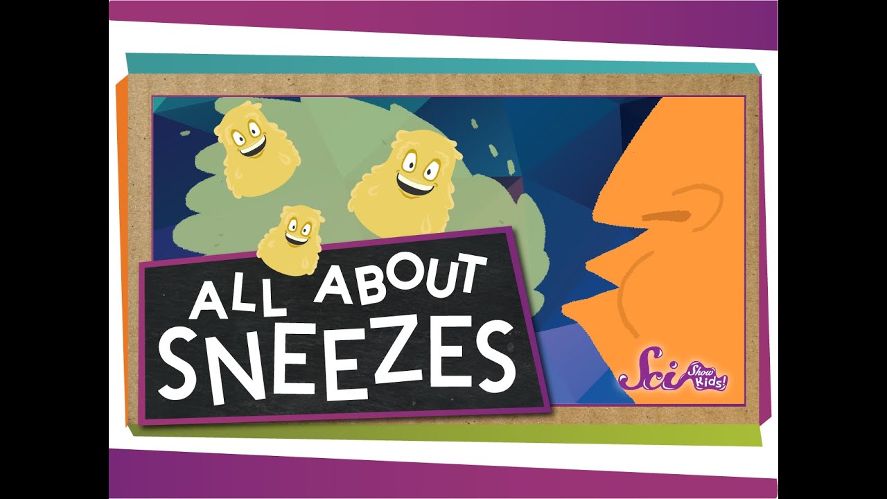 All About Sneezes Youtube