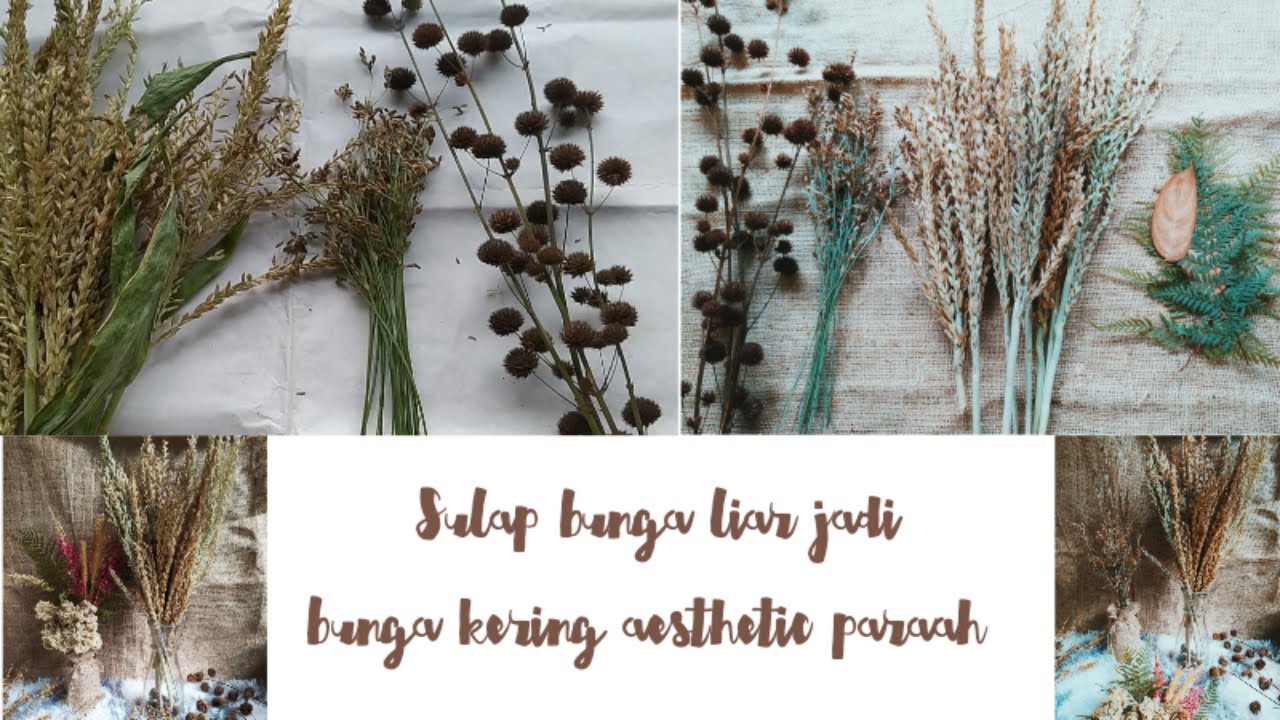 Cara Nak Buat Bunga Kering Destiny Well David