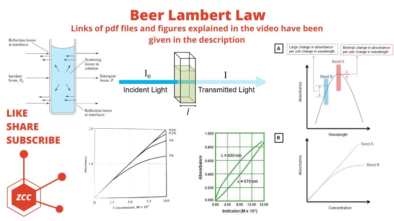 Beer Lambert Law Enzyme Activity At Russell Bingaman Blog