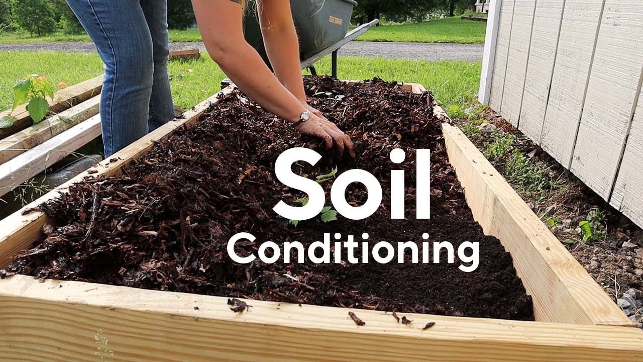 How To Improve Garden Soil Quality 5 Tips Youtube