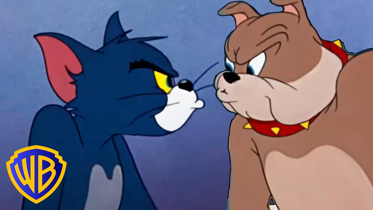 Tom Jerry Cats V S Dogs рџђ рџђ Animal Takeover Wbkids Youtube