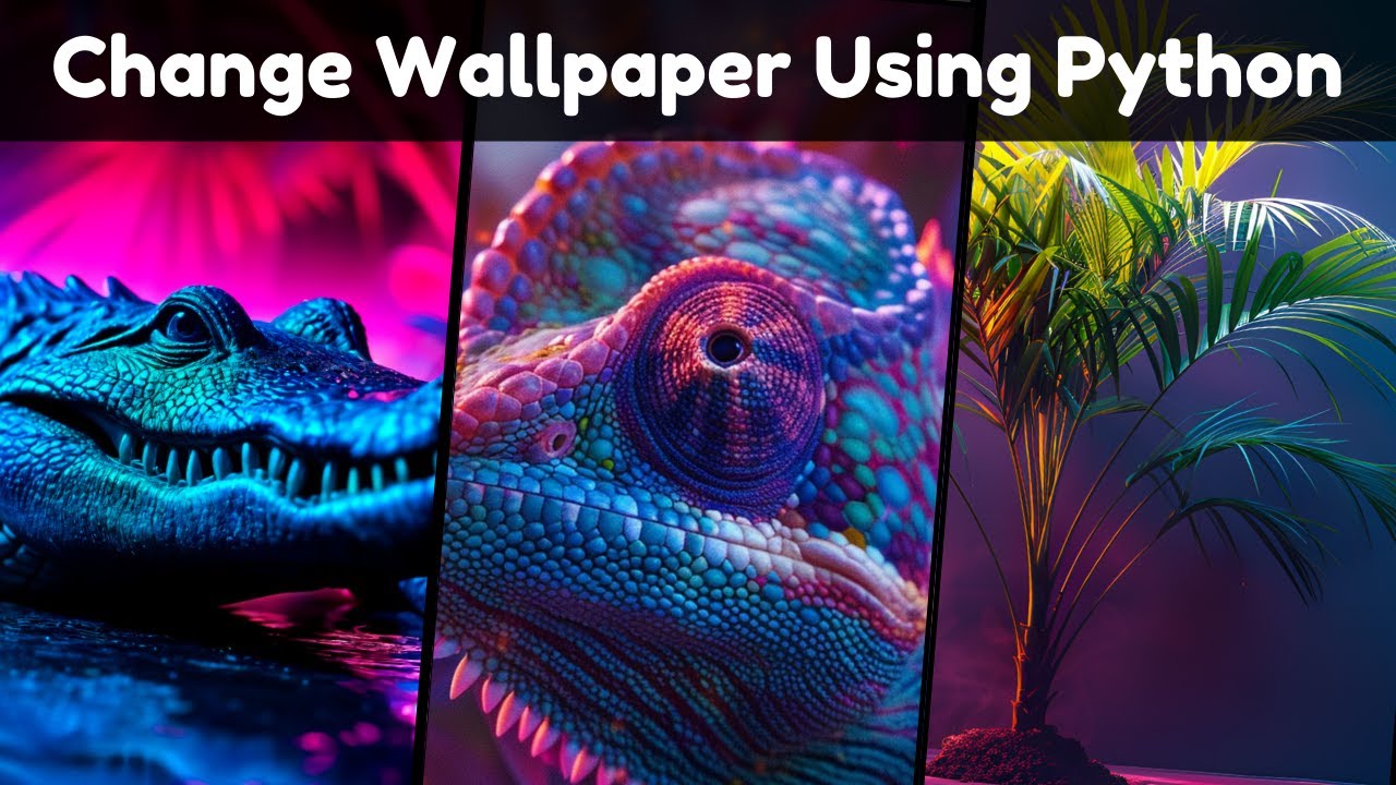 Python Change Your Desktop Wallpaper Dynamically Full Tutorial Youtube