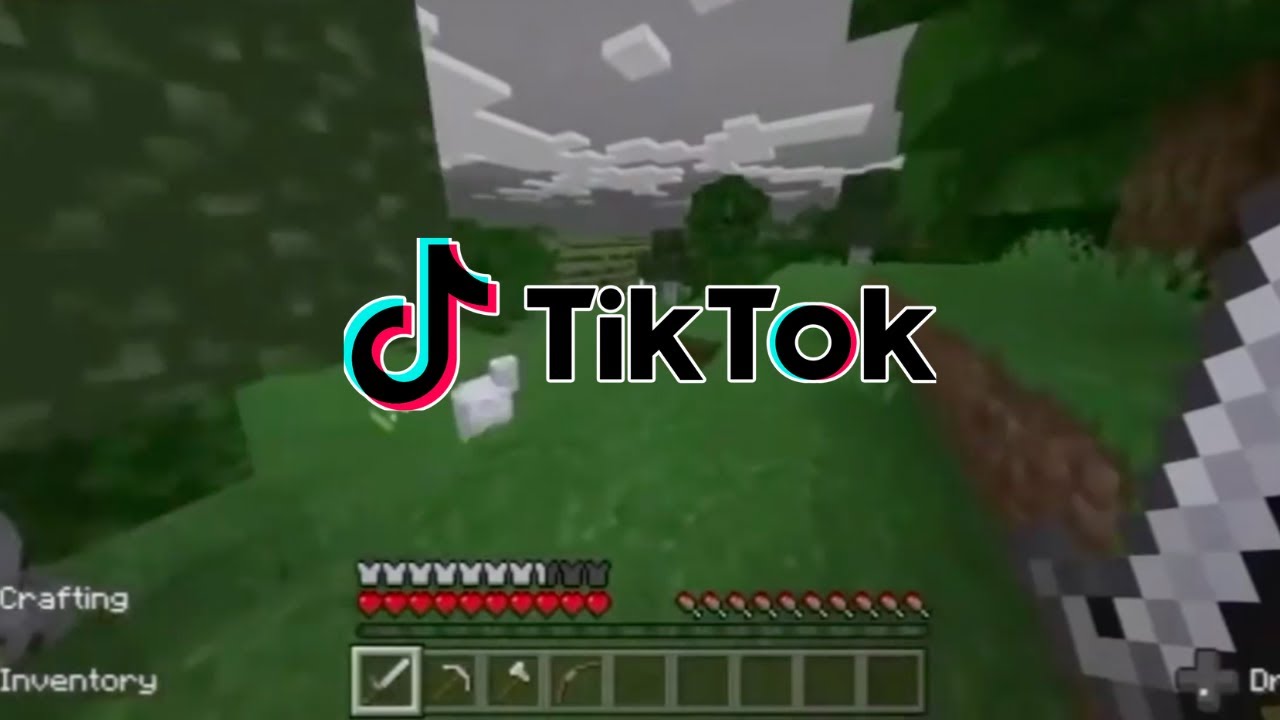 Minecraft Tik Tok Compilation 353 Youtube