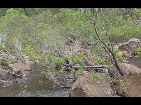 Glenbrook Gorge Walking Track Australia Nsw 4k First Person View