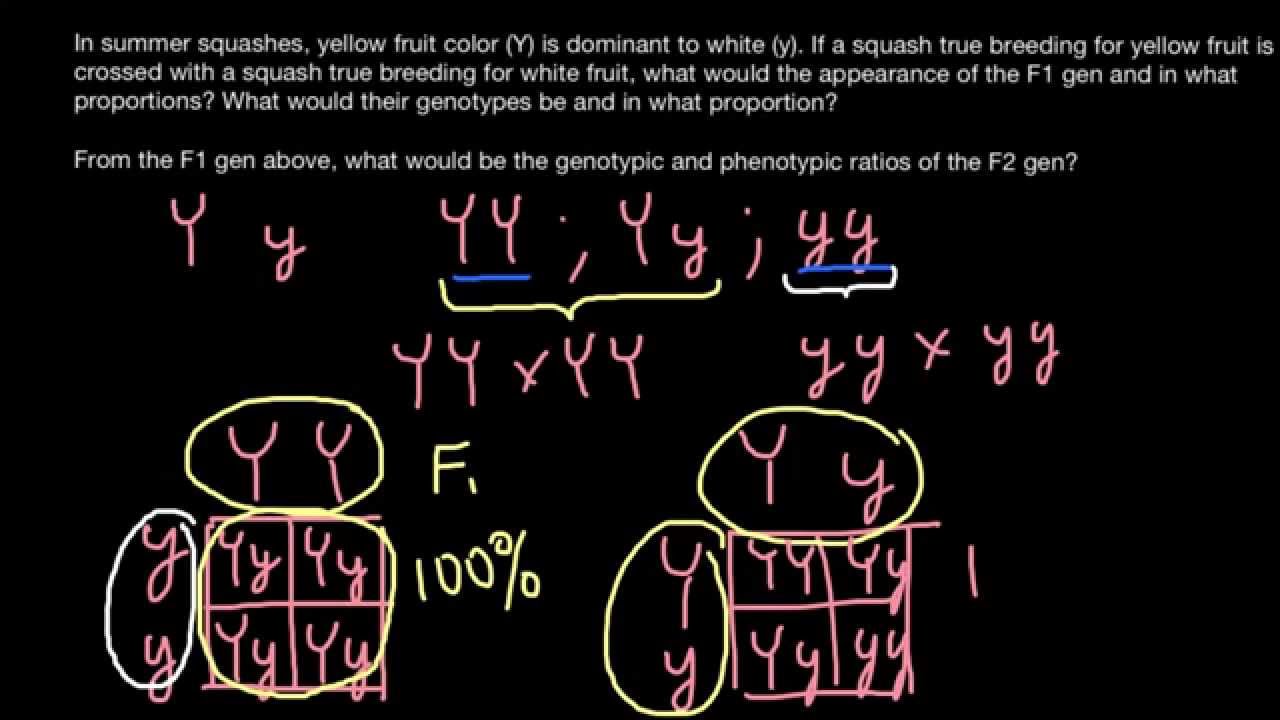 True Breeding Definition