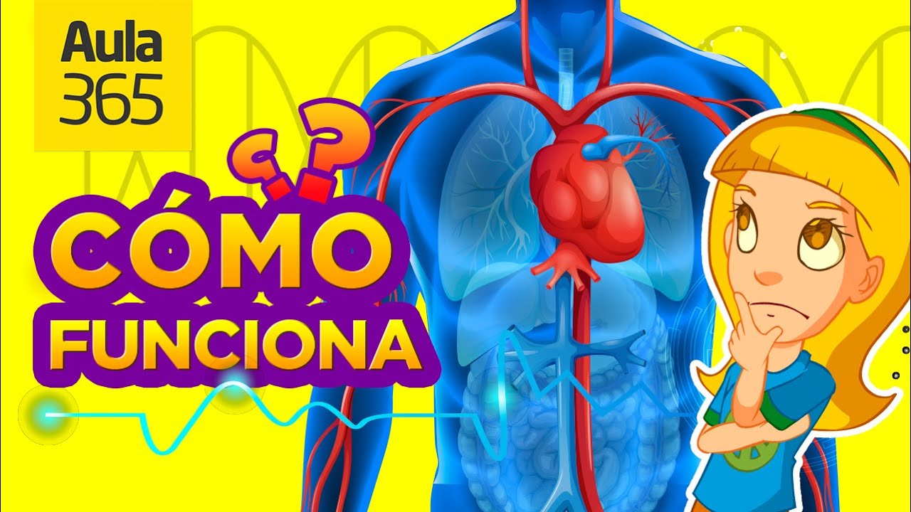 Especiales Espaciales El Funcionamiento Del Cuerpo Humano