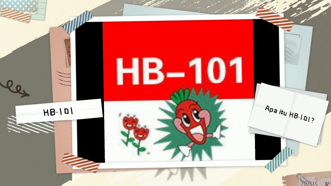 Apa Itu Hb 101 Hb 101 Indonesia Youtube