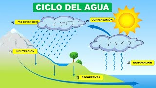 Ciclo Hidrológico Del Agua Evaporación Condensación Chords