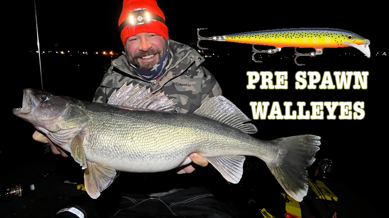 Pre Spawn Walleye Beatdown Tips Tricks Youtube
