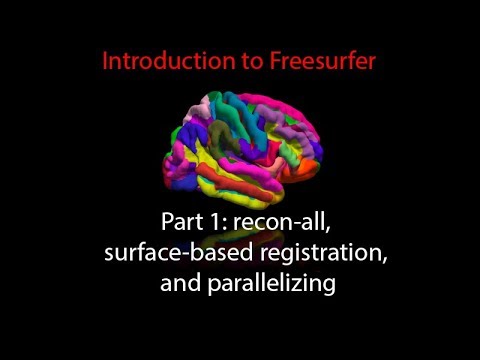 Freesurfer Lecture 1 Overview Of Freesurfer And Recon All Youtube