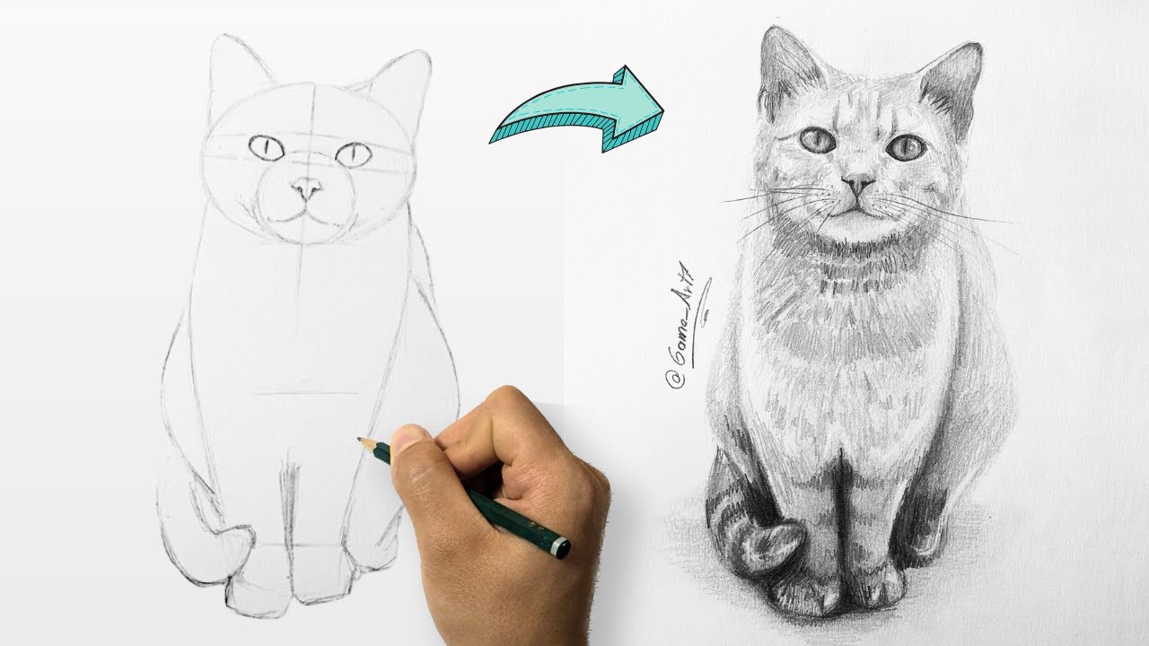Cómo Dibujar Un Gato Paso A Paso Youtube