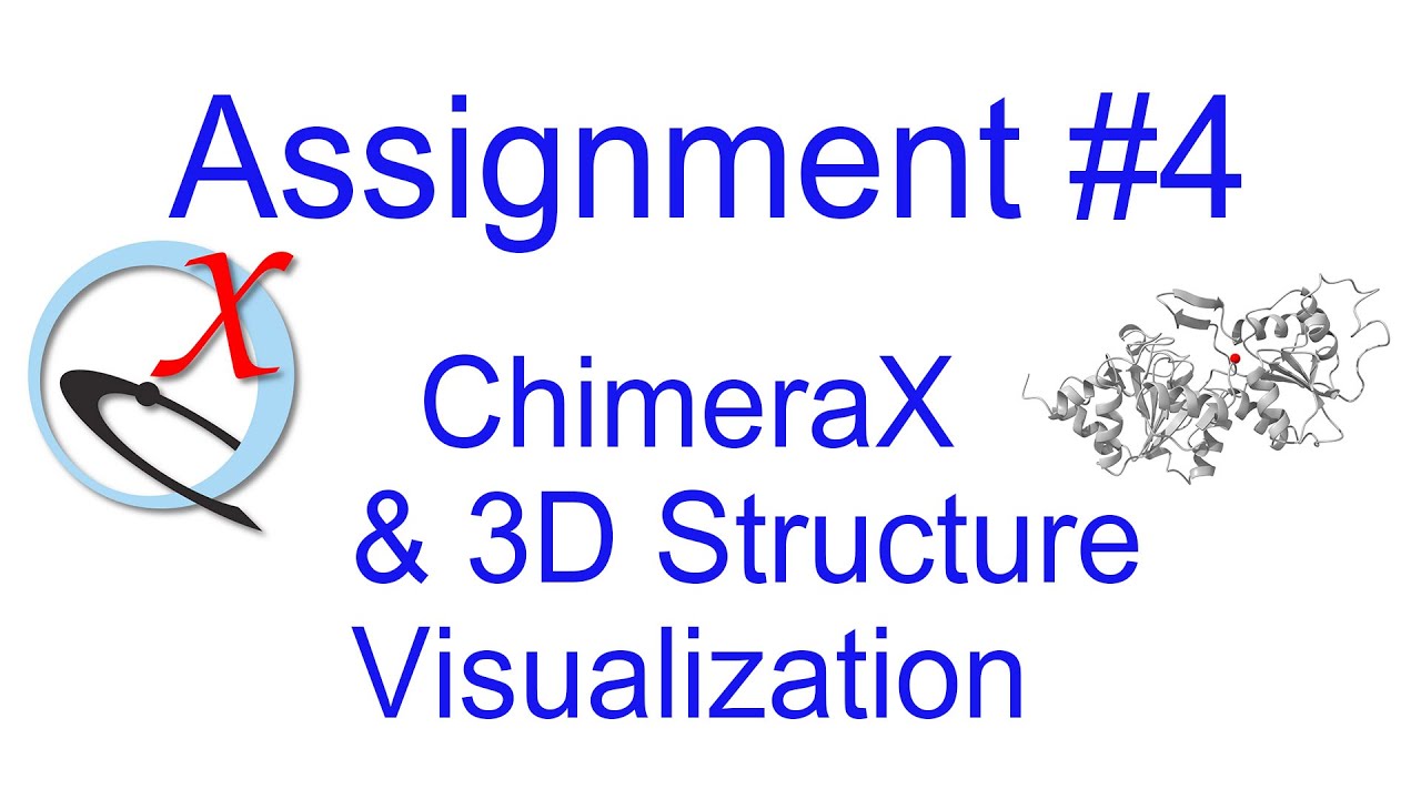 Assignment 4 Chimerax And 3d Structure Youtube