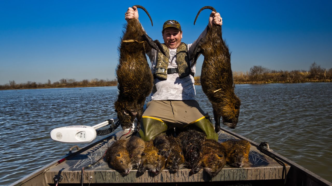 Hunting Giant Marsh Rats To Eat Louisiana Nutria Catch And Cook Youtube