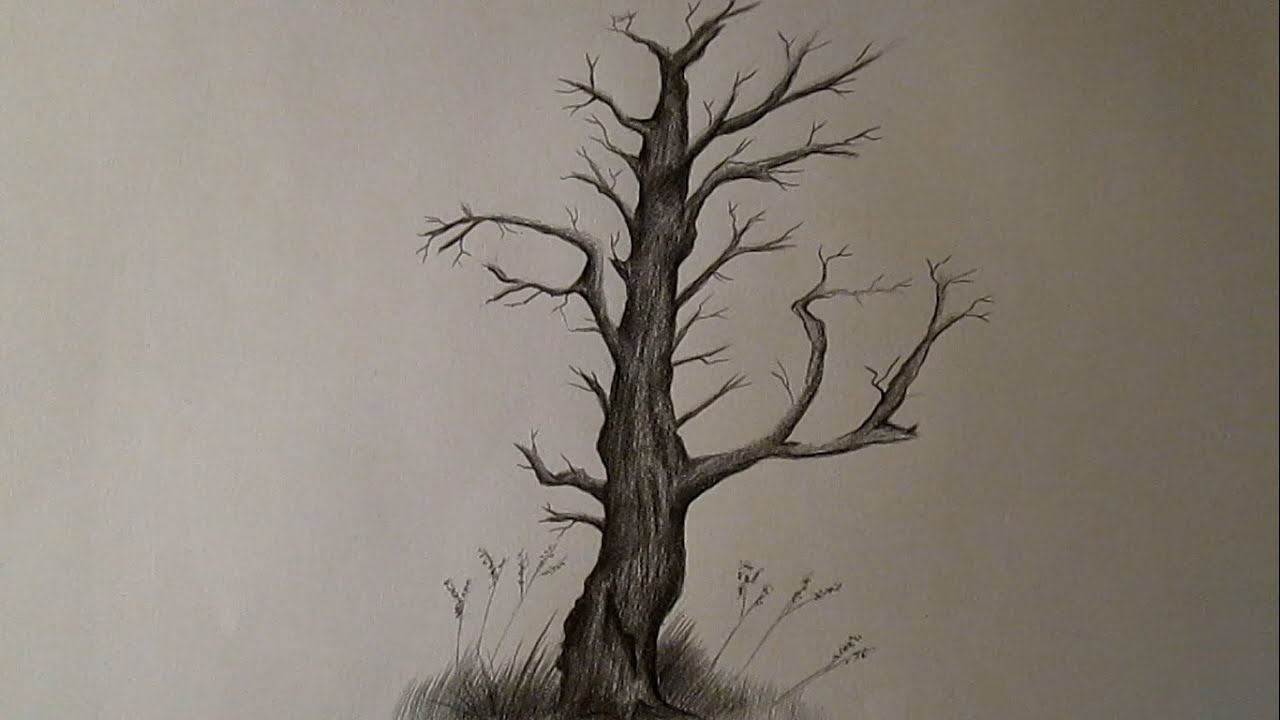 Cómo Dibujar Un árbol Sin Hojas Paso A Paso Para Niños Dibujo De