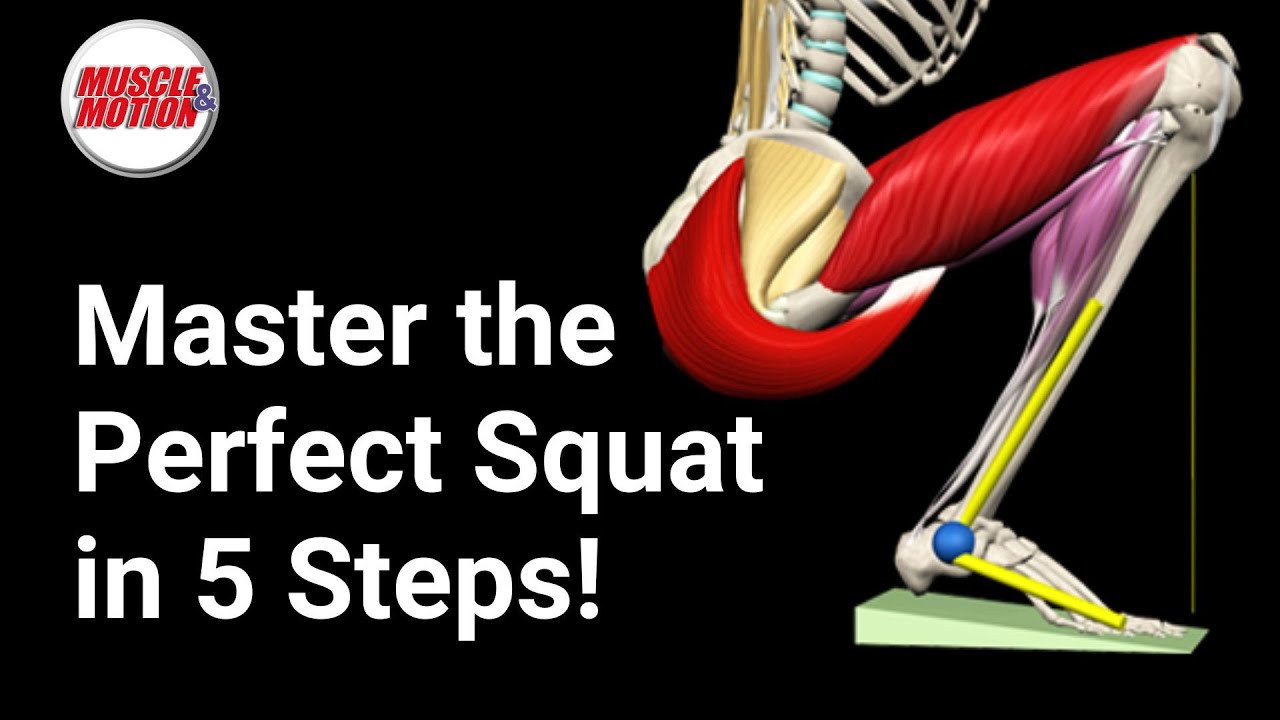 Master The Perfect Squat In 5 Steps Youtube