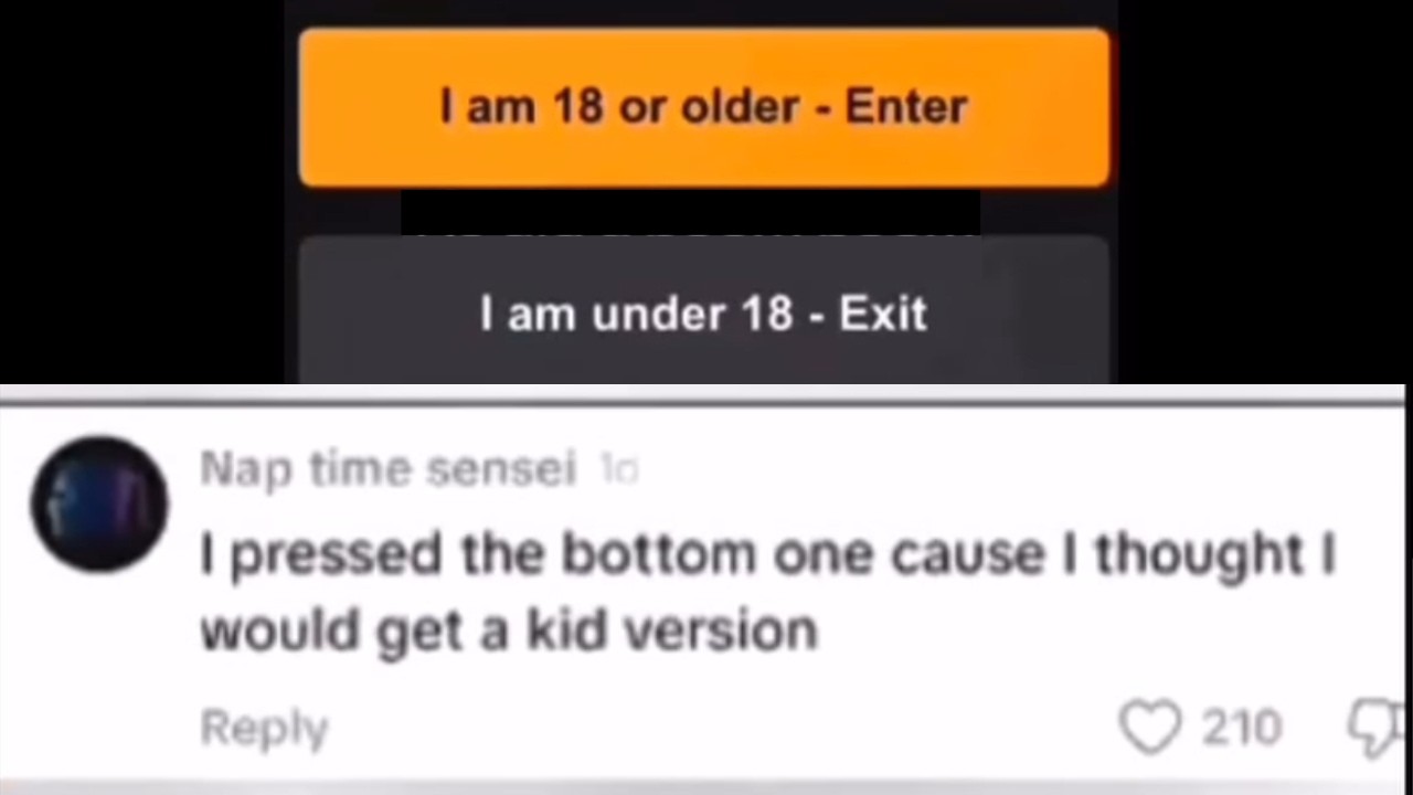 Hilarious Instagram Reels Comments Youtube
