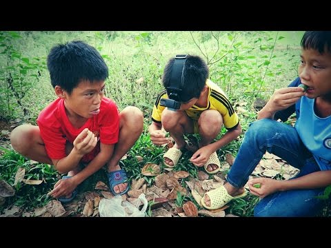 д N Dгѓi Mгќt Youtube