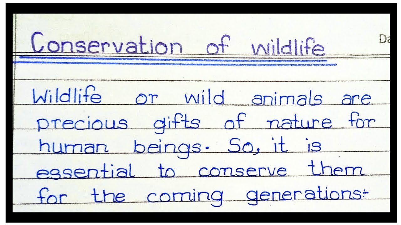 Why Is Wildlife Conservation So Important Infoupdate Org