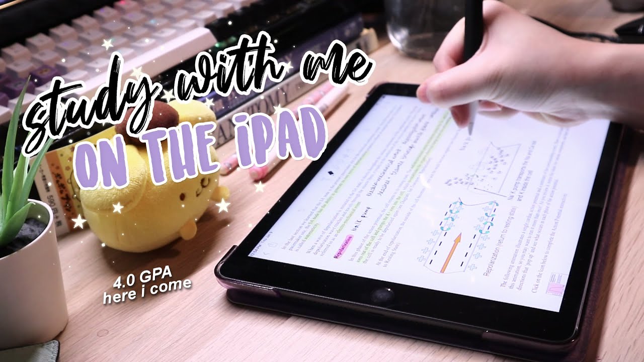 Study With Me пёџ Ipad Notes And Active Recall Youtube