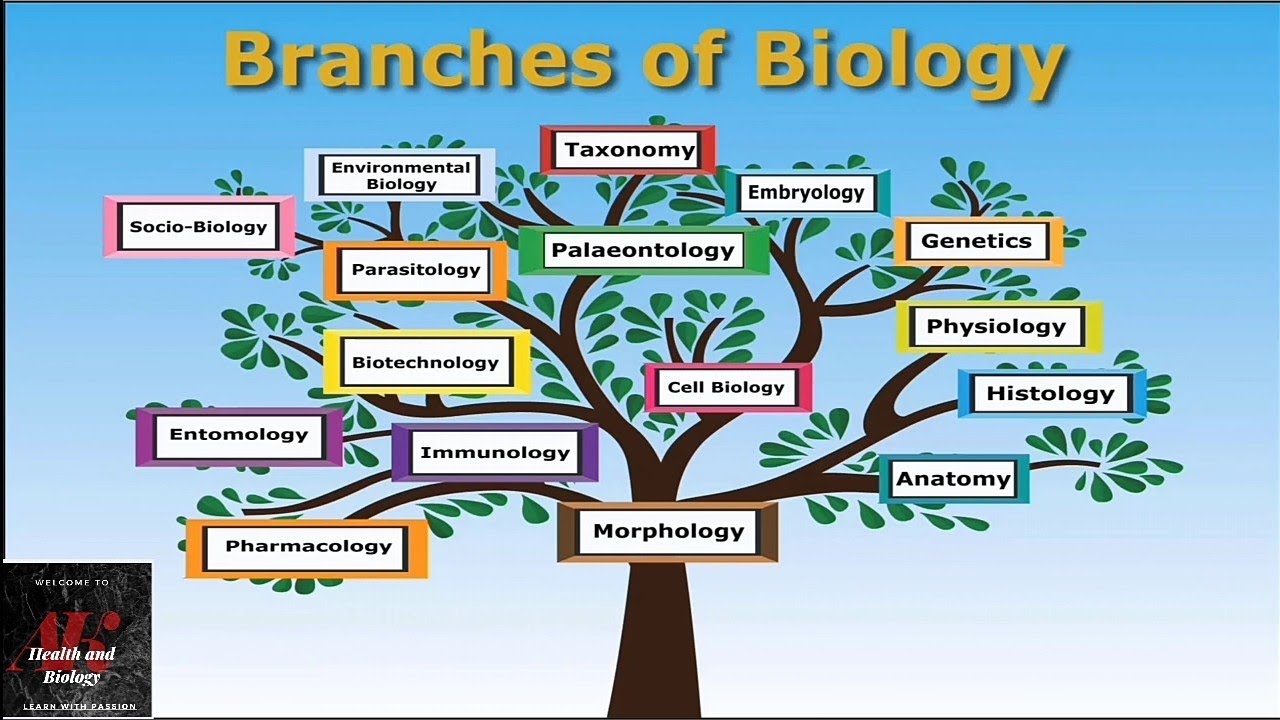 Branches Of Biology Class 9th Lecture 2 Health Biology Youtube