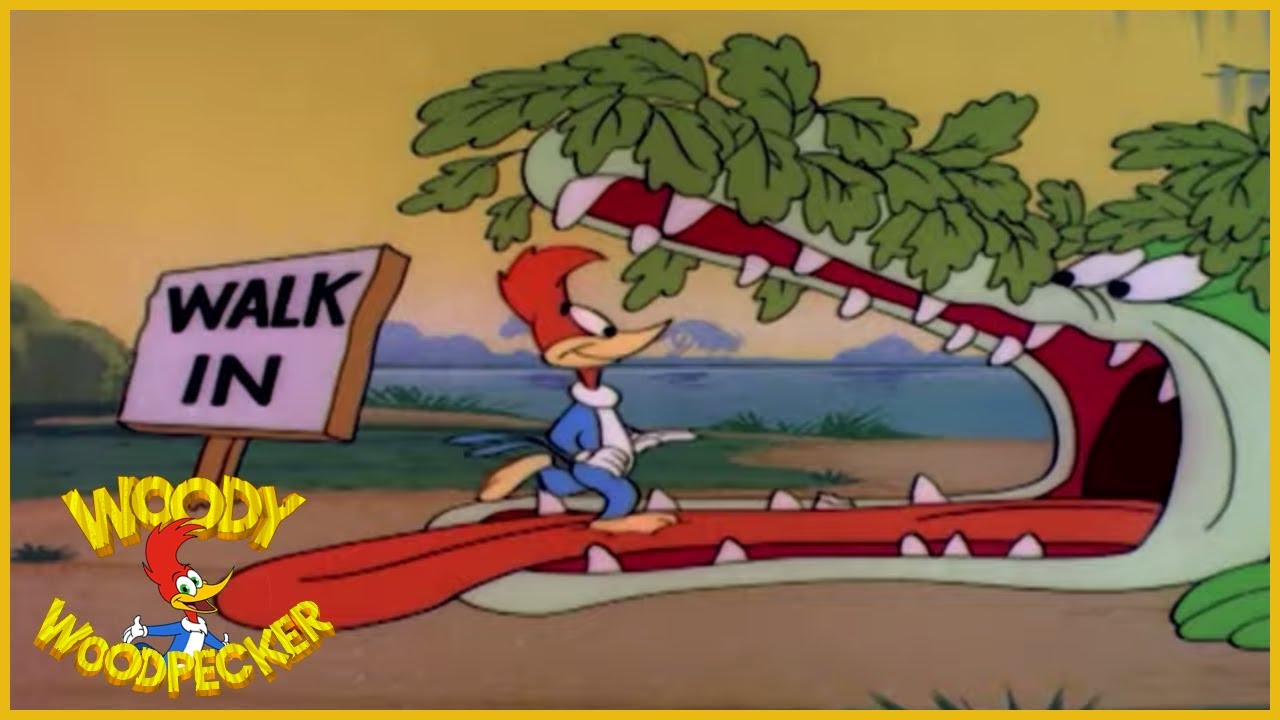 Woody Woodpecker Everglade Raid Full Episodes Youtube