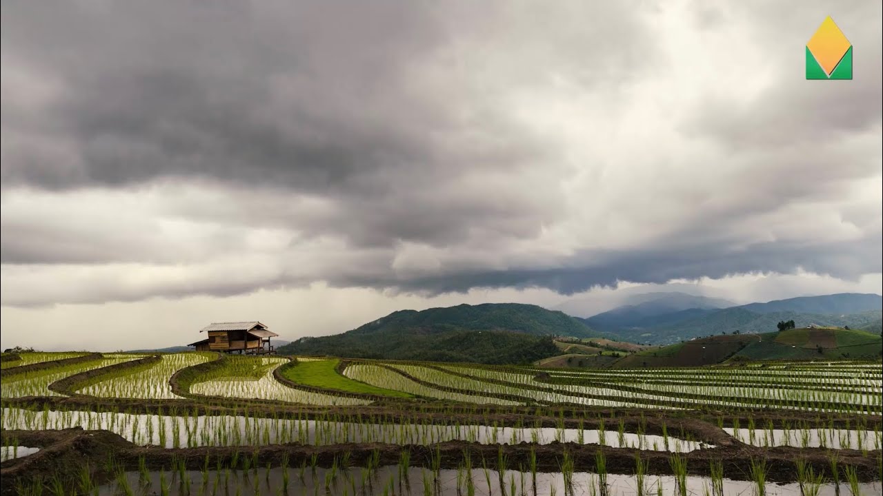 Total Solution Youtube