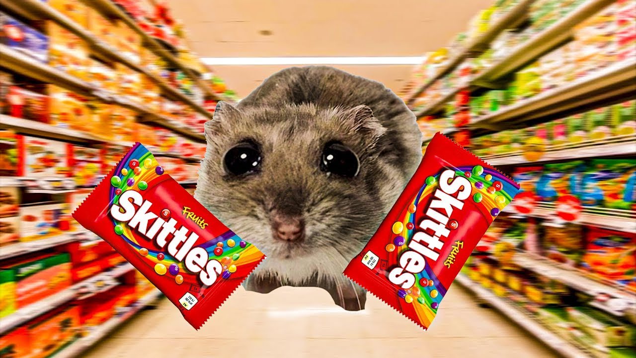 Skittles Meme Sad Hamster Youtube