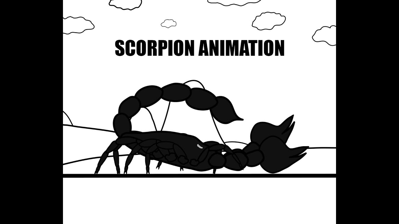 Toon Boom Animation Scorpion Walk Cycle Youtube