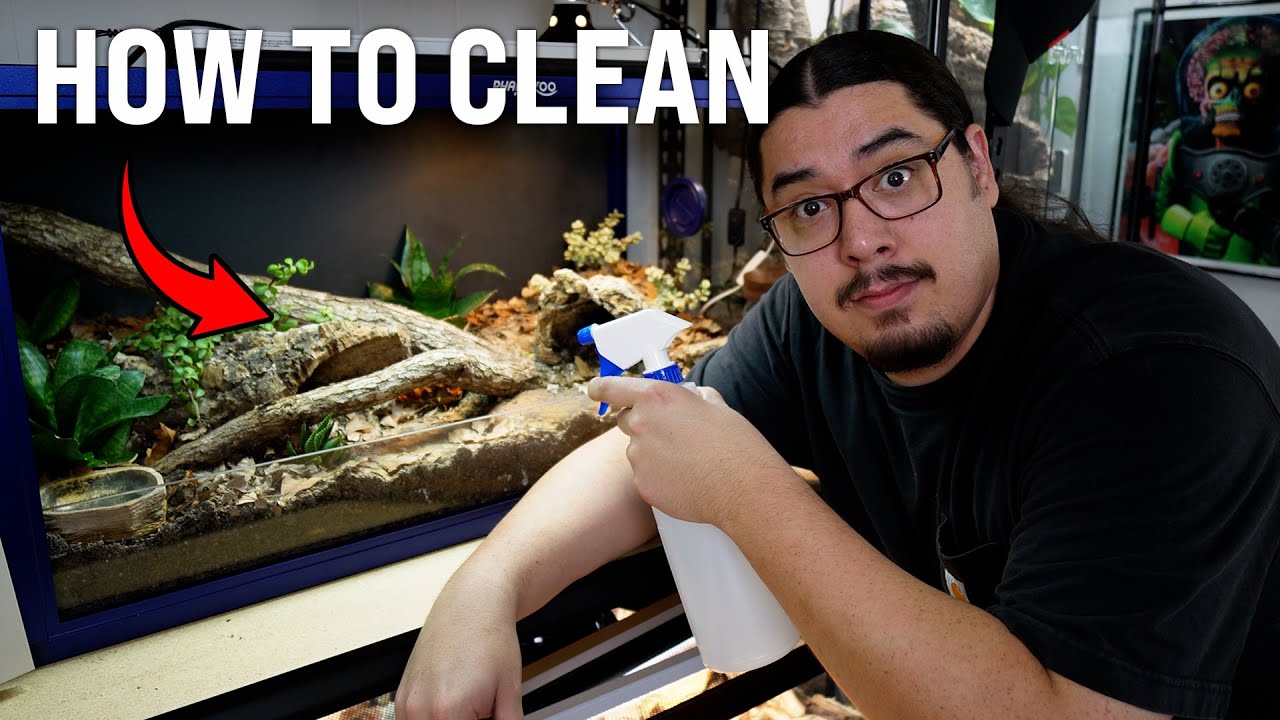 How To Clean A Reptile Tank Youtube