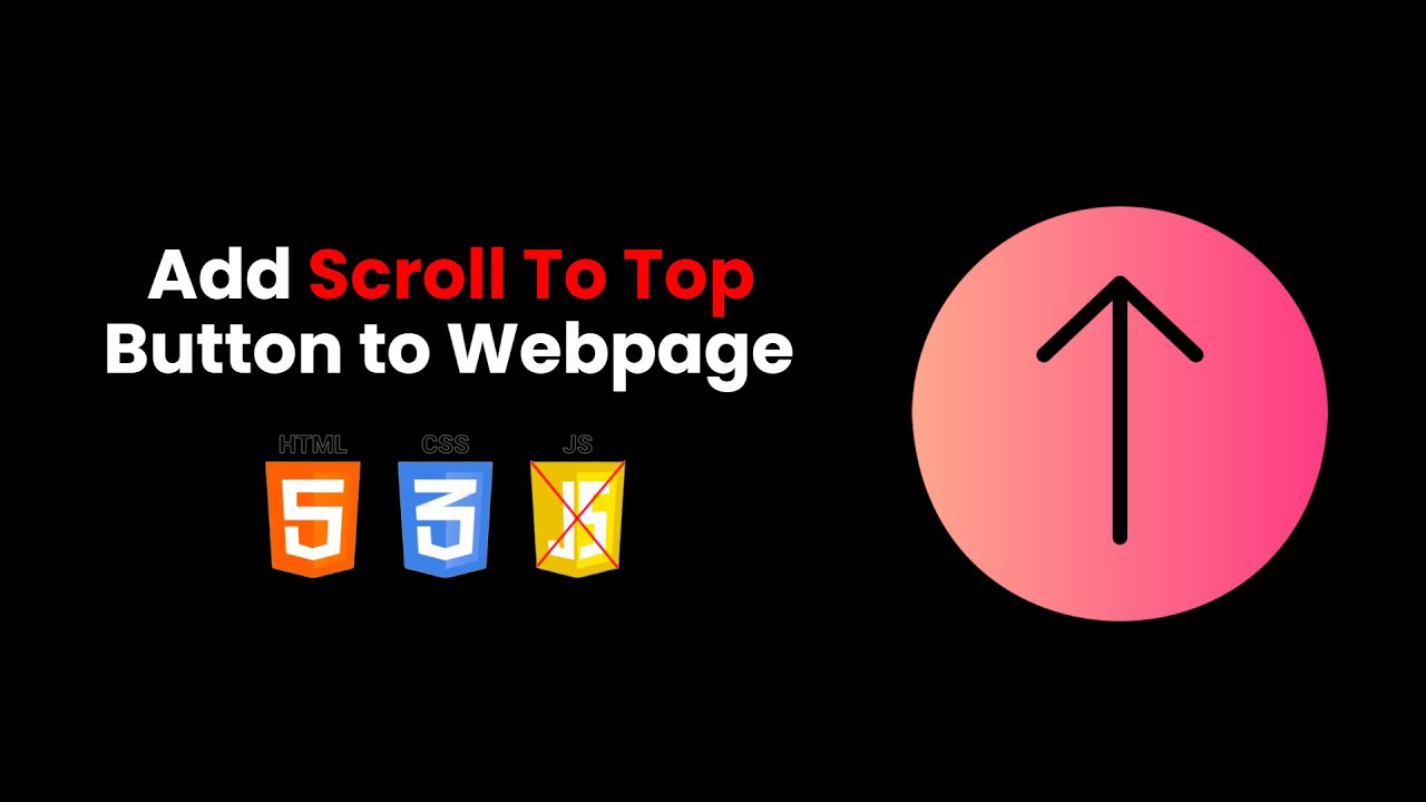 Scroll To Top Button Back To Top Using Only Html Css Sticky