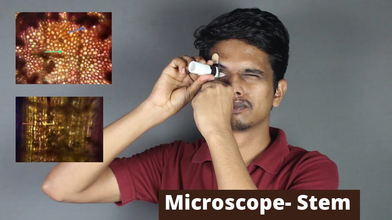Microscope Stem Thinktac Diy Science Youtube