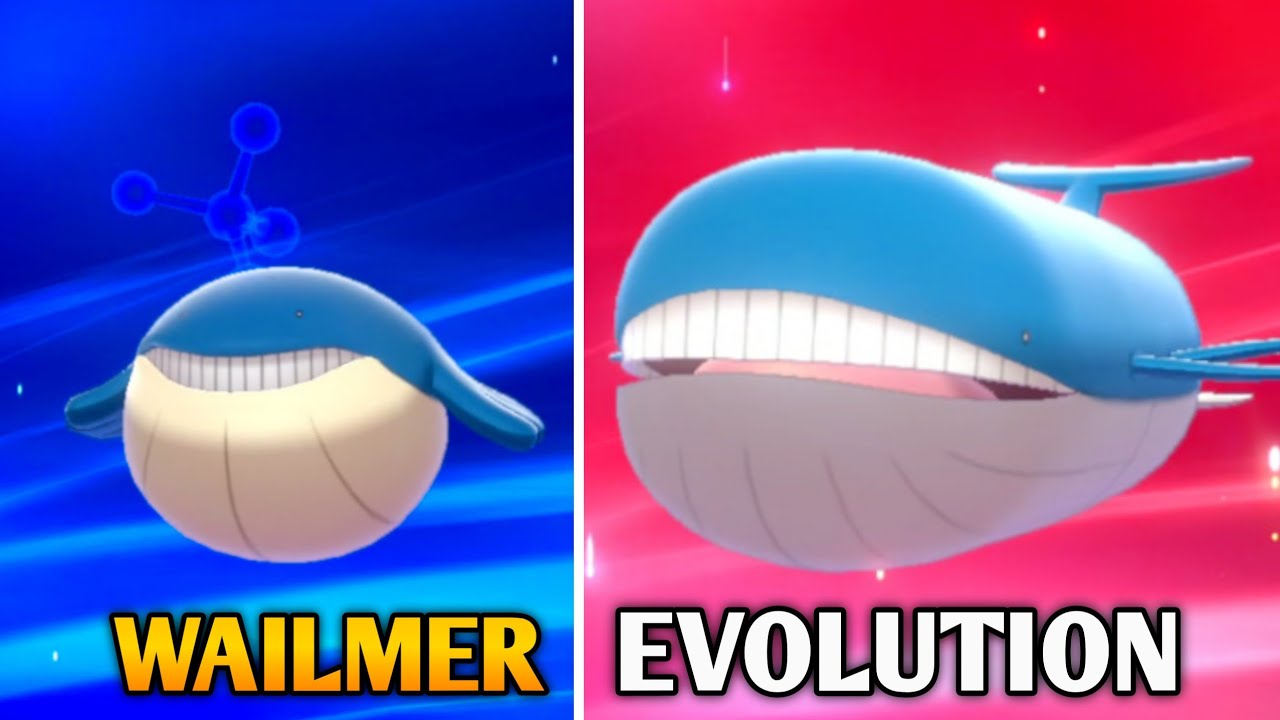 How To Evolve Wailmer Into Wailord In Pokemon Sword Shield Galar