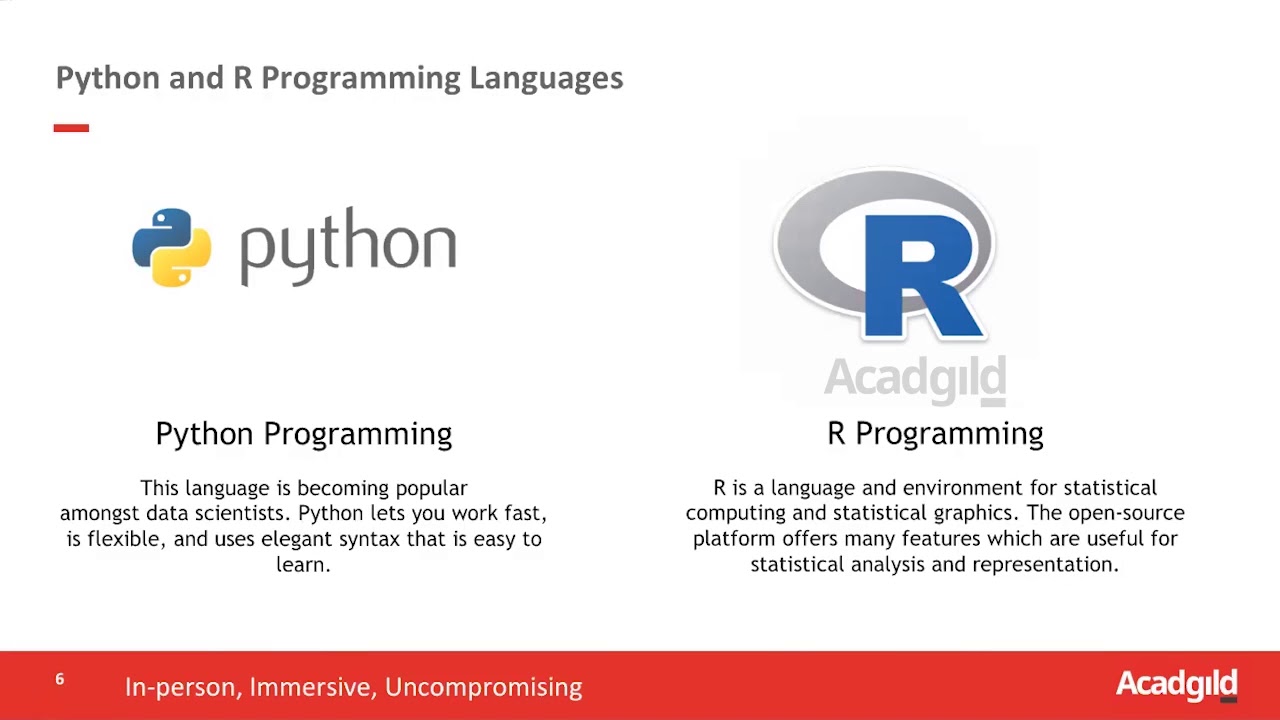 Introduction To Python Programming Introduction To R Programming