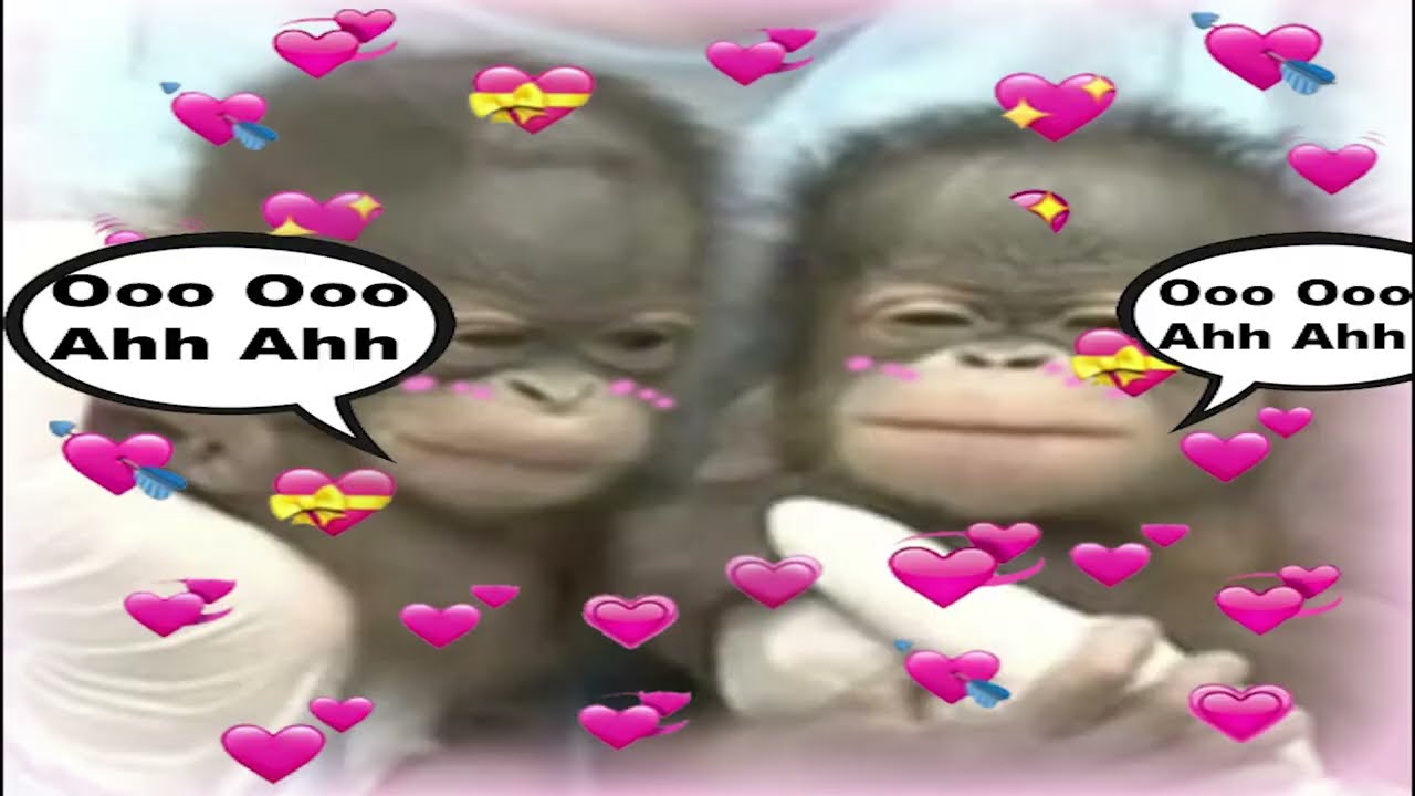 Two Silly Monkeys Play Gorilla Tag Youtube