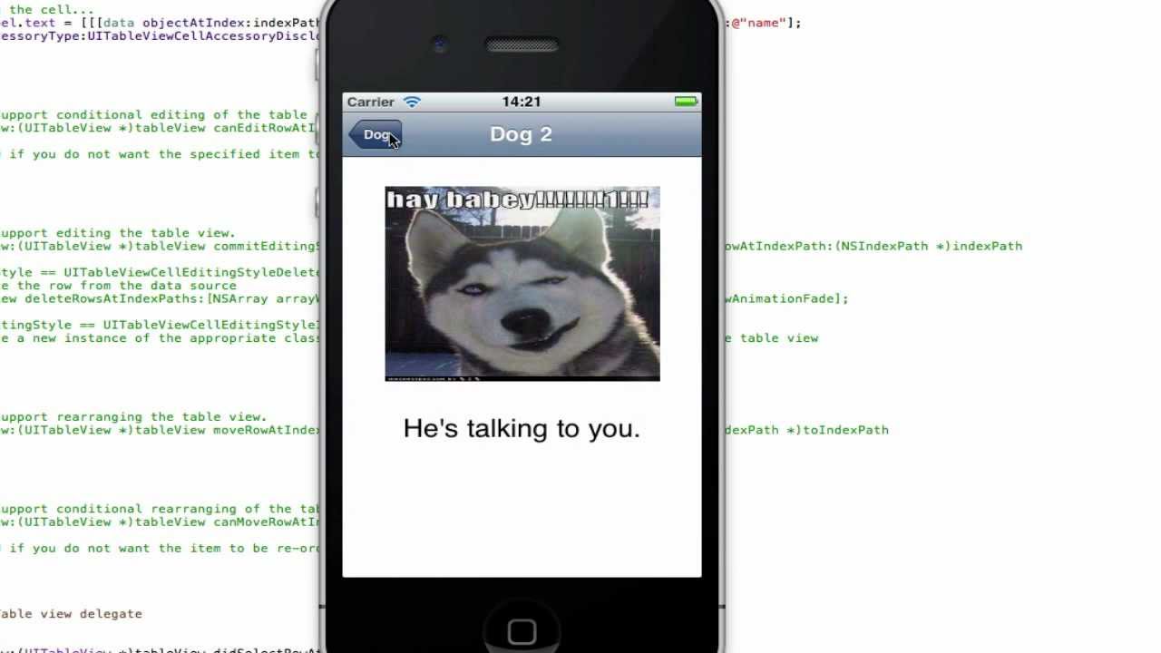 Iphone Programming Uitableviews Making Sections Youtube