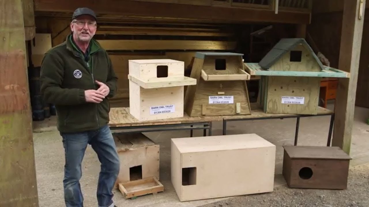How To Build A Barn Owl Box Infoupdate Org