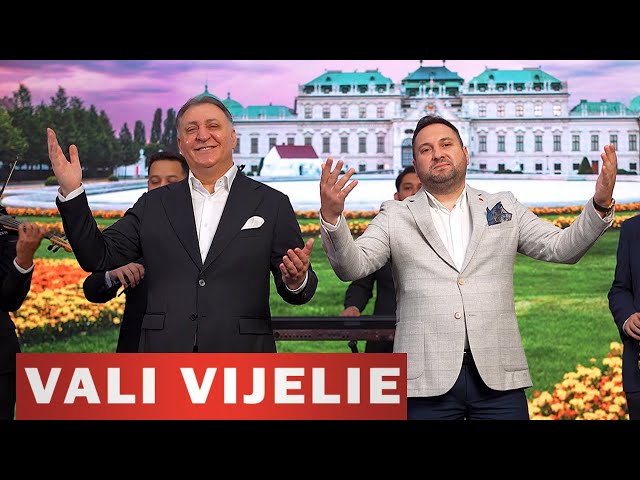 Vali Vijelie Petrut Babiac - Viata asta-i ca un munte 2025