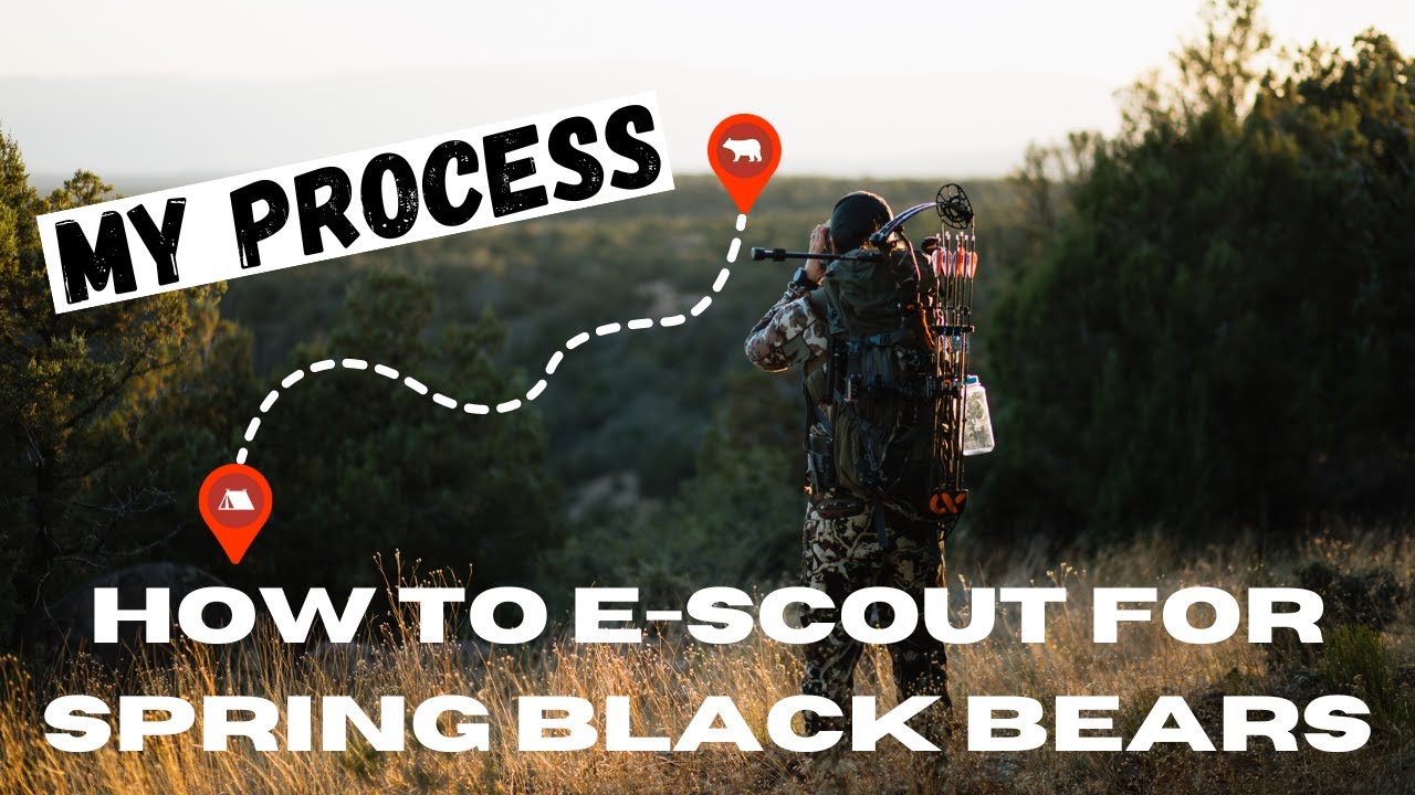 E Scouting For Spring Black Bears My Process Youtube