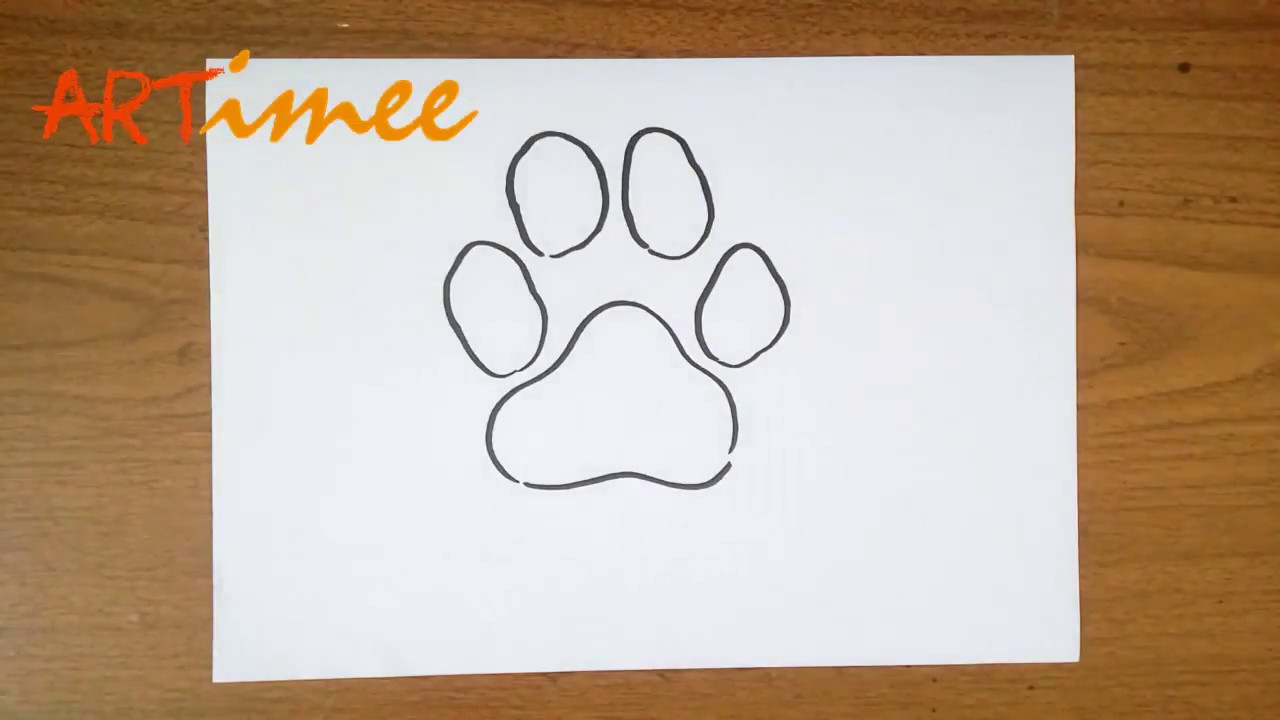 How To Draw A Easy Dog Paw When Learning How To Draw A Dog You Can